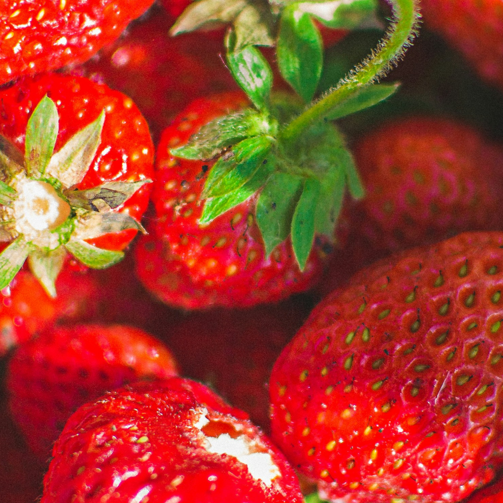 Create a 4-Pack (half-gallon bottles) – Red Jacket Orchards